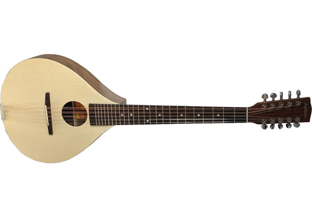 Ashbury Rathlin 10-String Cittern - Zenith Music
