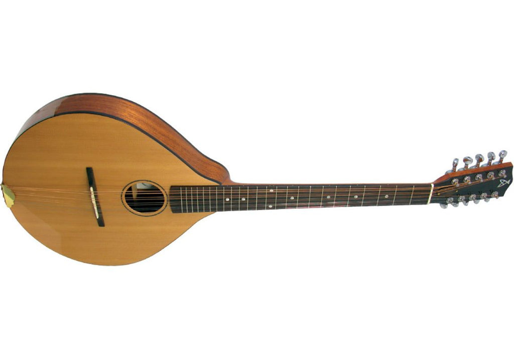 Ashbury Style E 10-String Cittern - Zenith Music