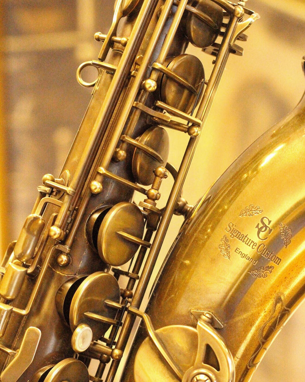 Trevor James Signature Custom RAW Tenor Saxophone - Zenith Music